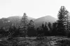 Kodak Tri-X 400 Black And White Film Guide — Tony Wodarck