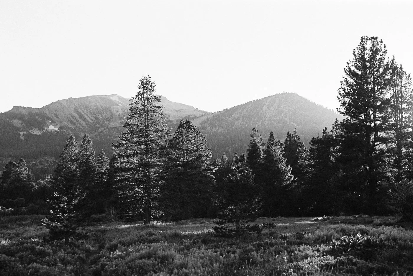 Kodak Tri-X 400 Black And White Film Guide — Tony Wodarck