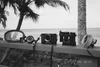 Kodak Tri-X 400 Black And White Film Guide — Tony Wodarck