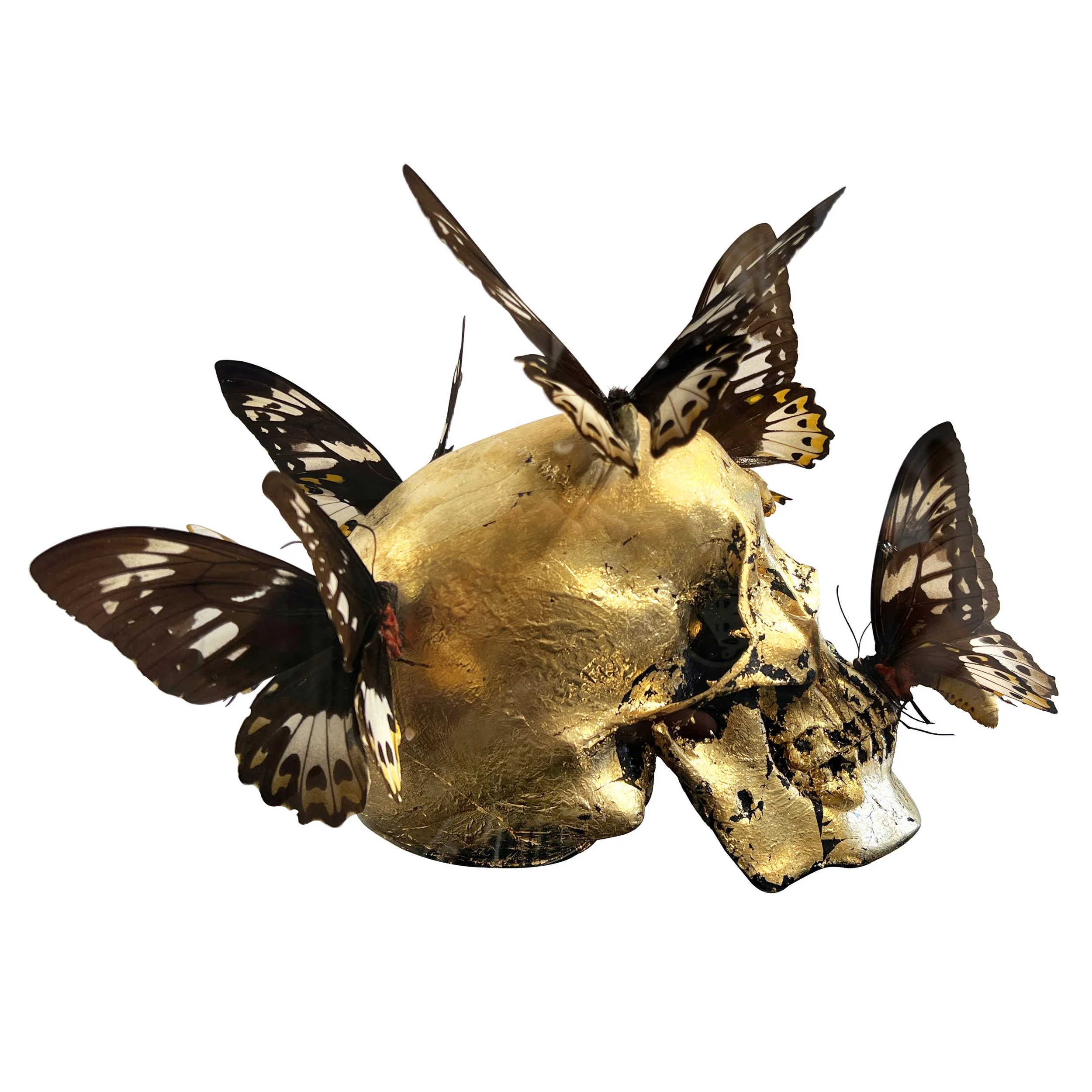 ARTIST | Nextstreet Gallery - Art Gallery Paris | Nextstreet Gallery