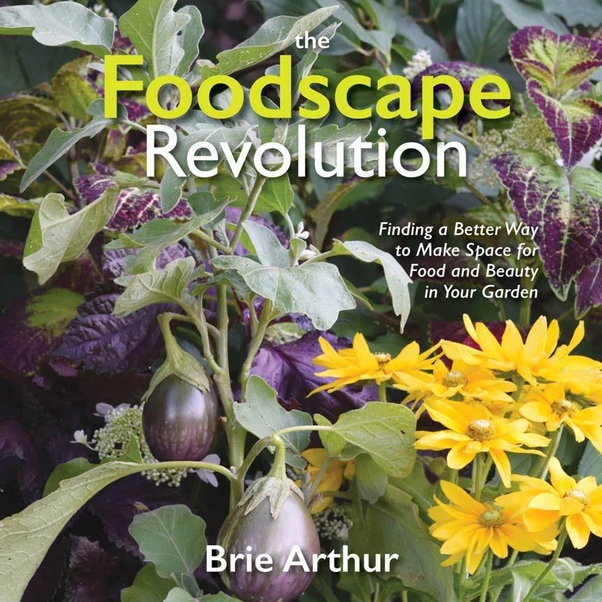 Book Shop — Brie Grows