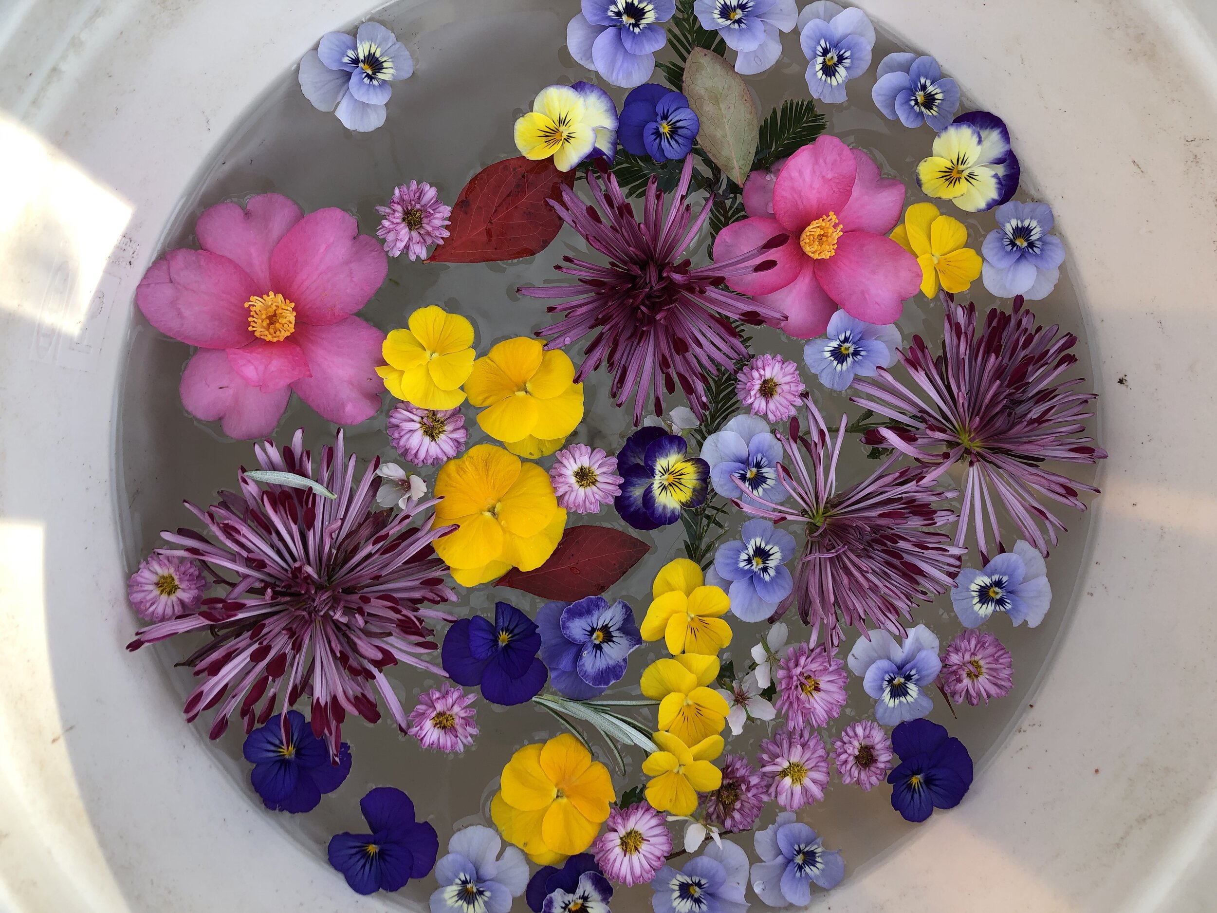 Finding Joy in the Garden- Floating Arrangements for Sanity — Brie Grows