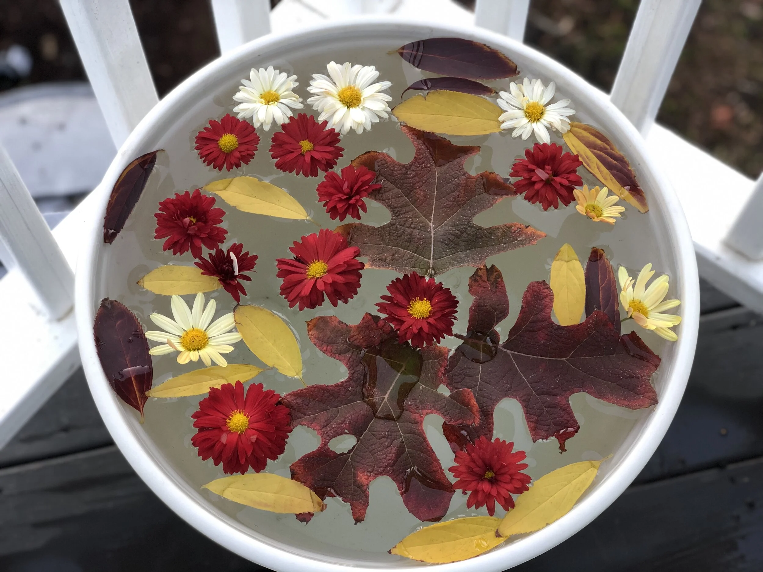 Finding Joy in the Garden- Floating Arrangements for Sanity — Brie Grows