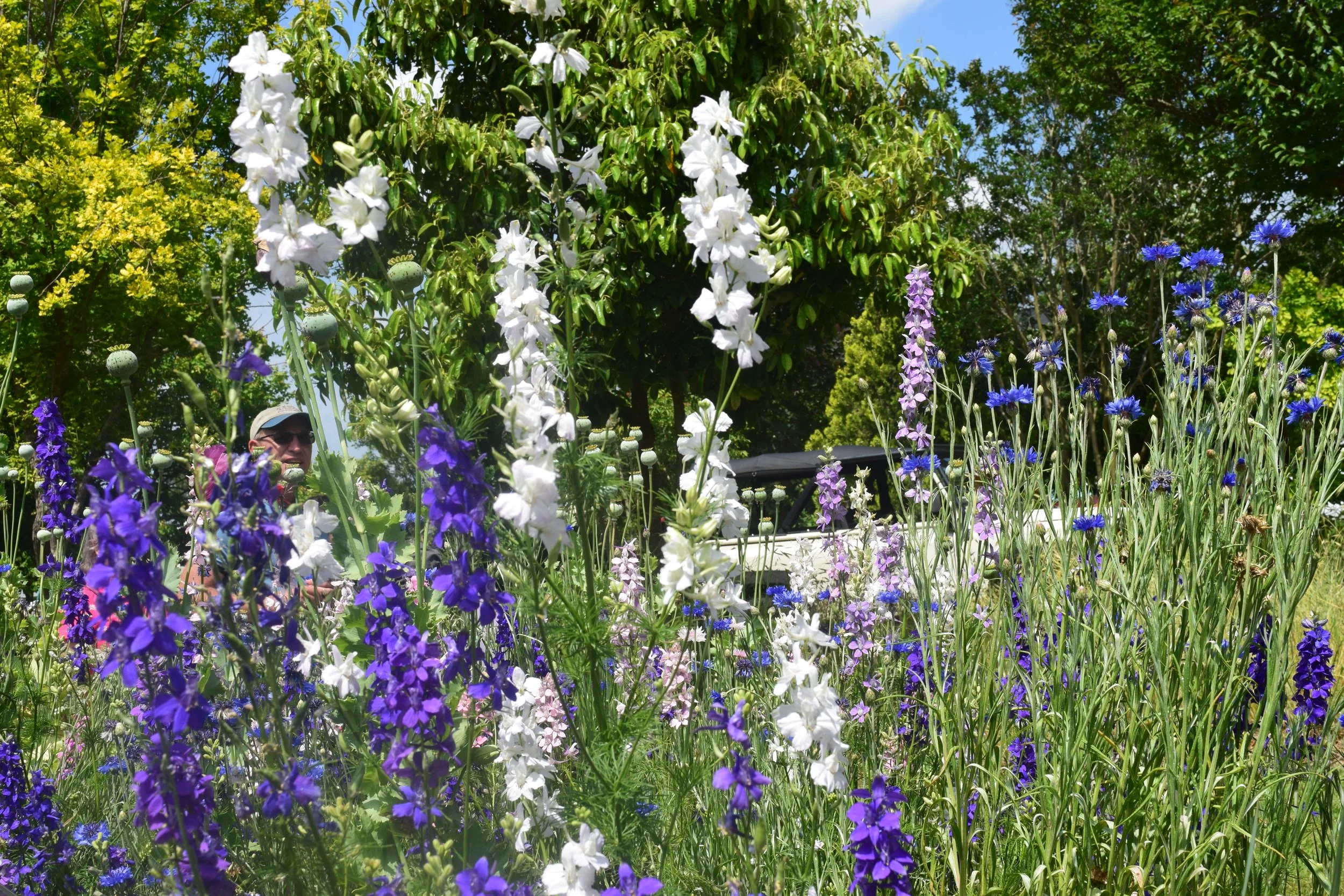 2023 Spring Open Garden Highlights by Callie the Photographer — Brie Grows