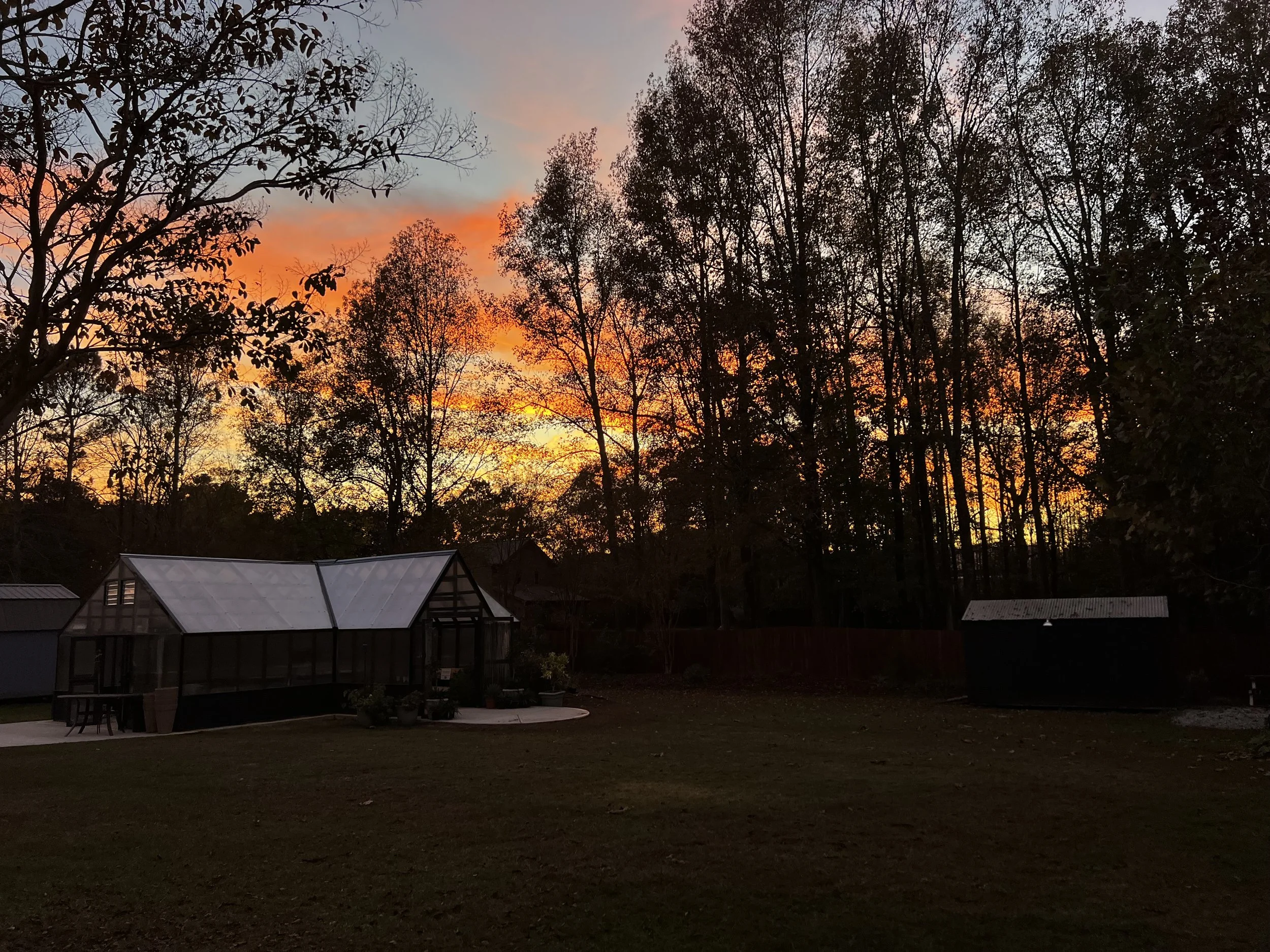 Brie Grows: Practical Gardening Advice