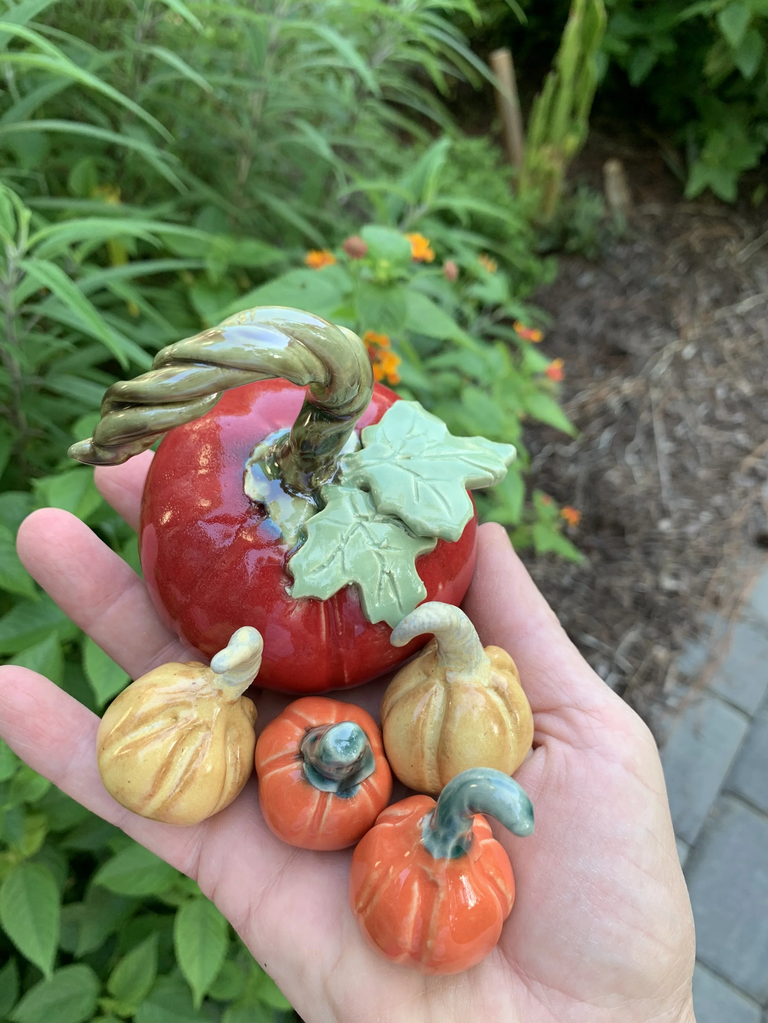Fall Open Garden & Sale — Brie Grows