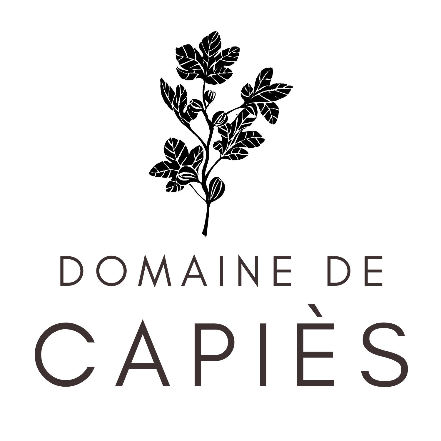 Gîtes EN — Domaine de Capies