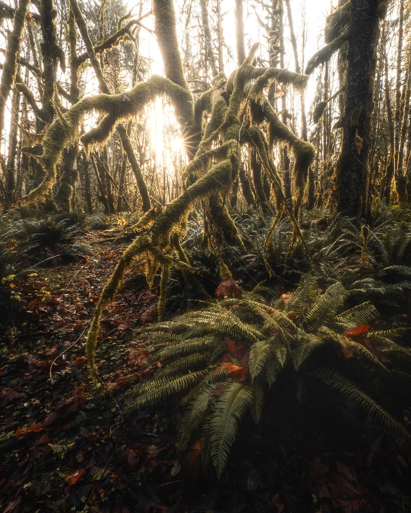 Recent work — Andy Mumford Photography