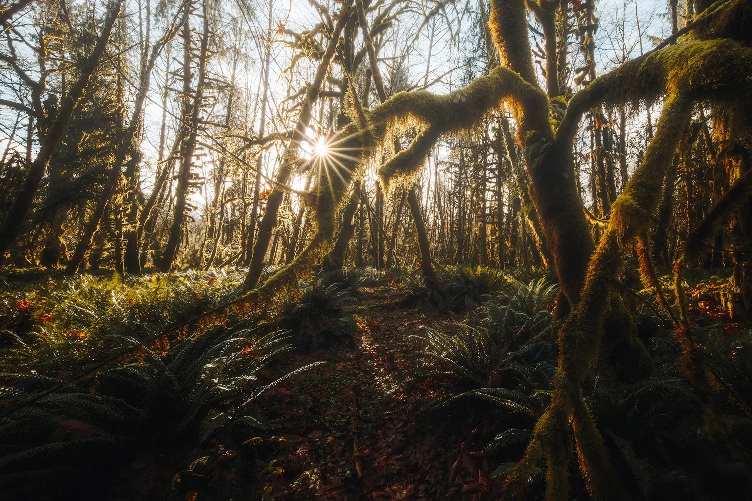 Recent work — Andy Mumford Photography