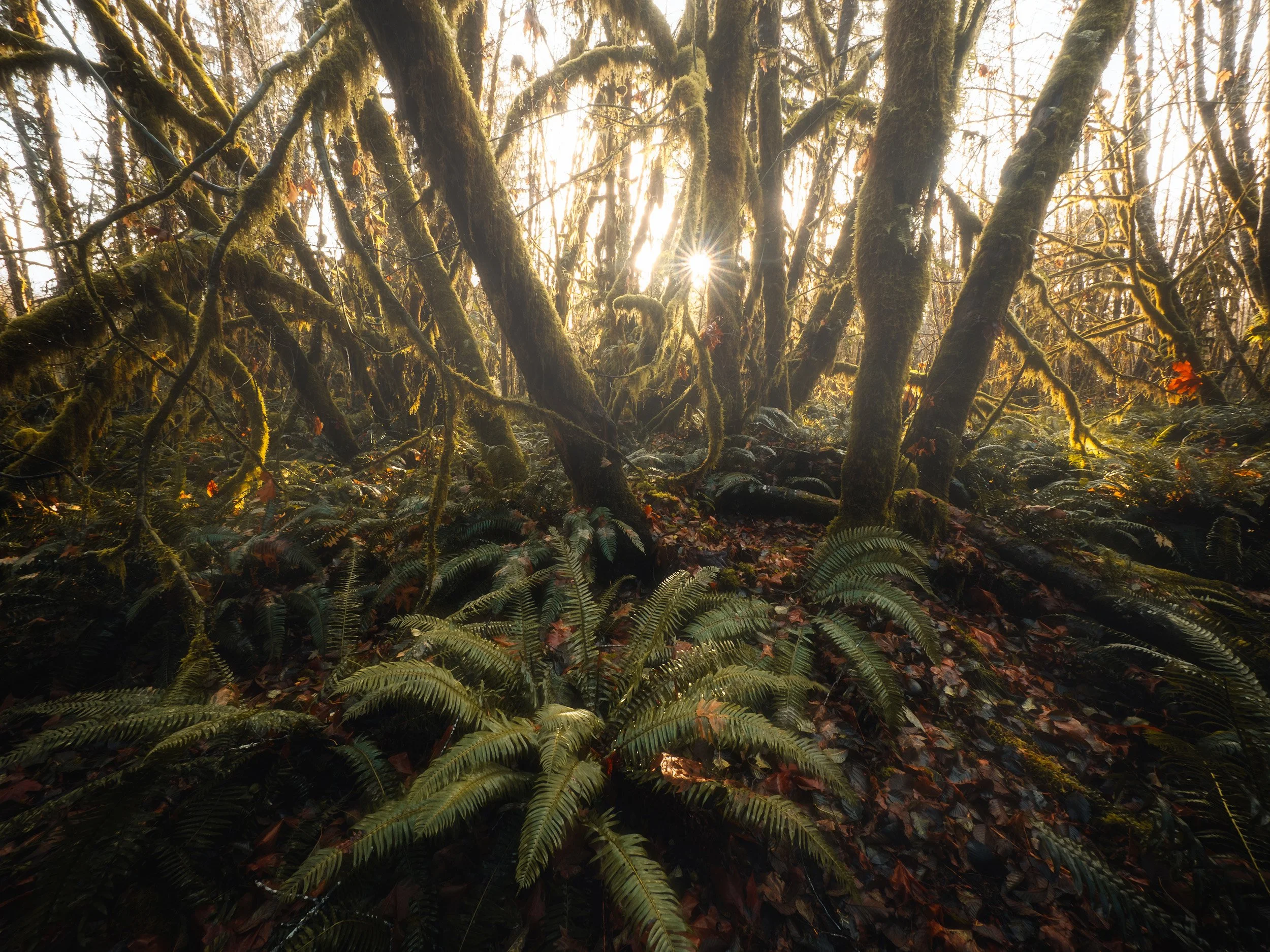 Recent work — Andy Mumford Photography
