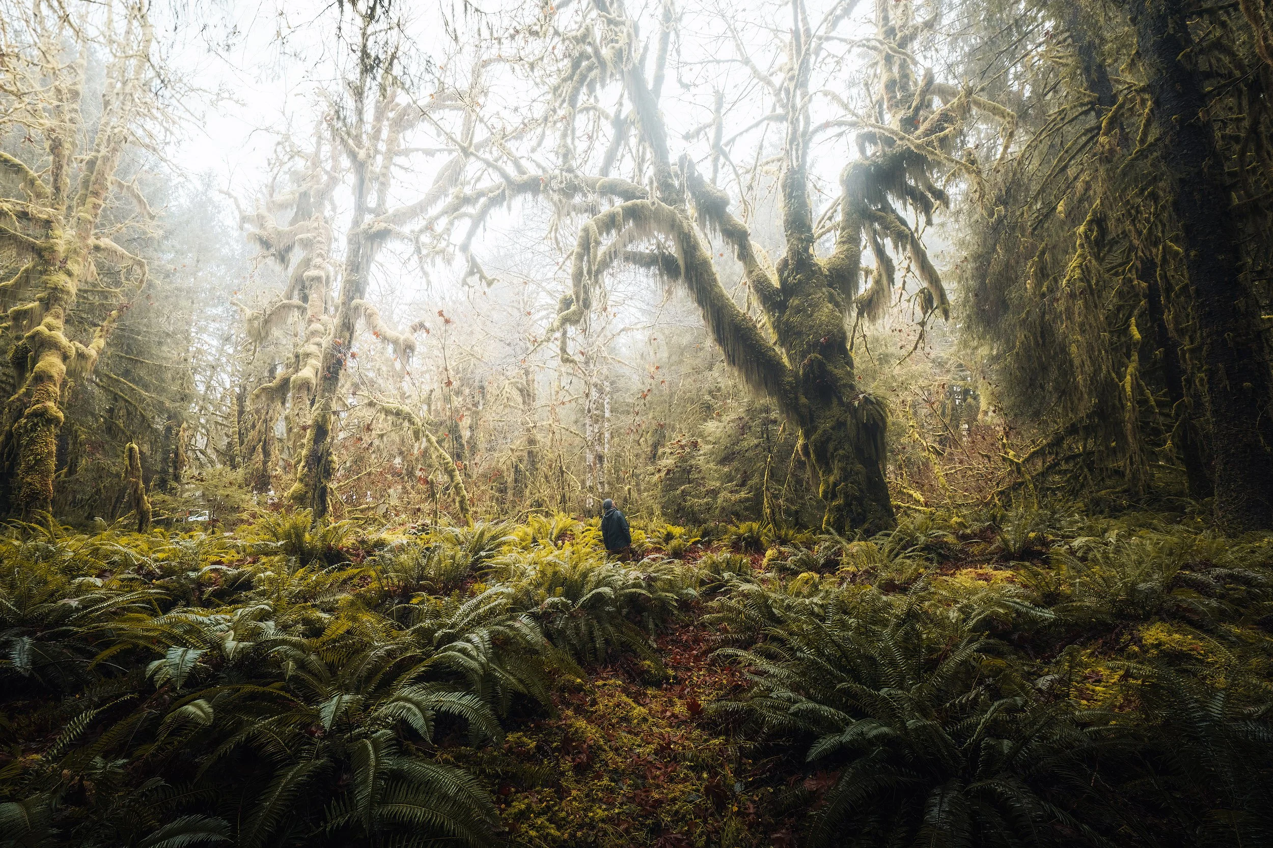 Recent work — Andy Mumford Photography