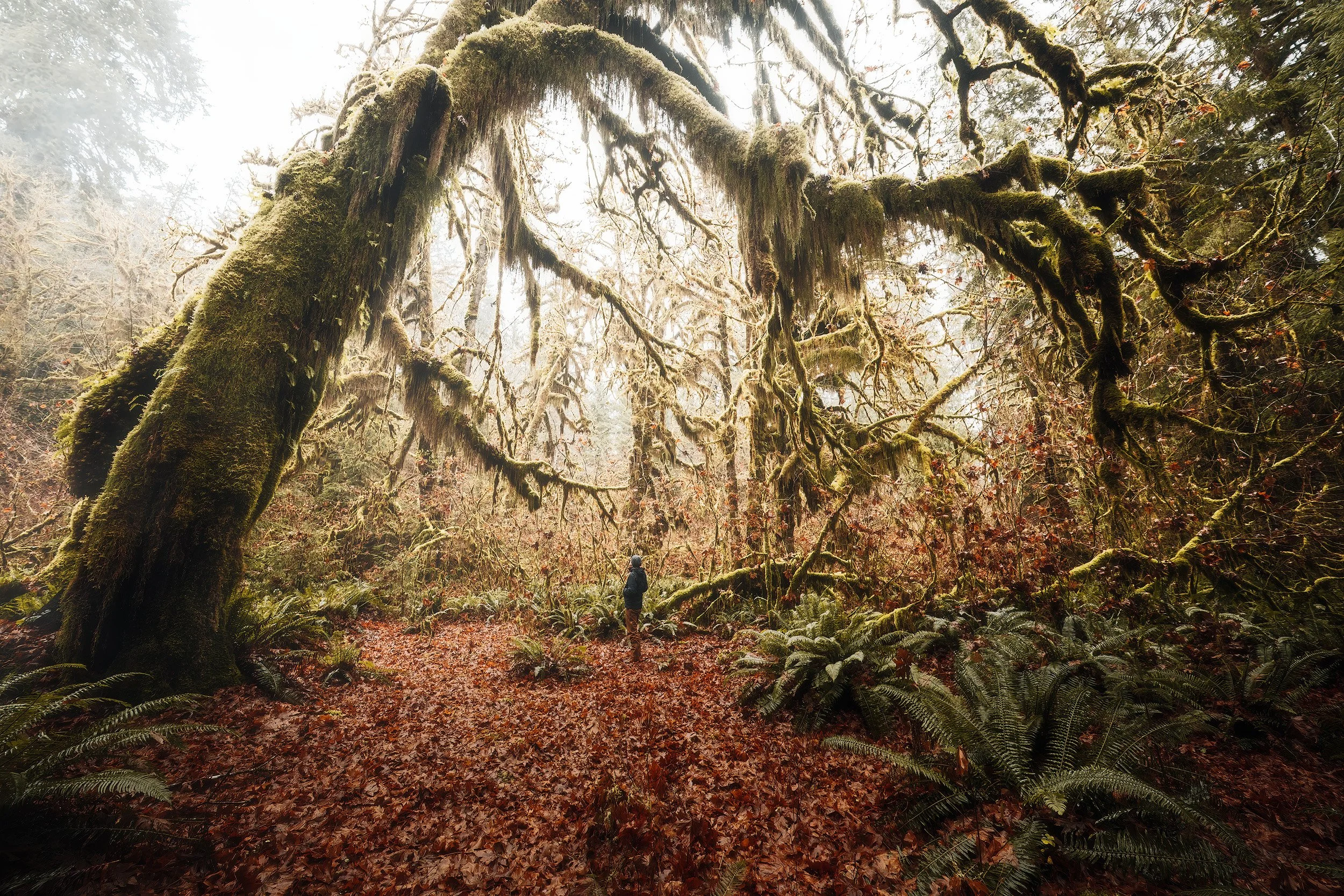 Recent work — Andy Mumford Photography