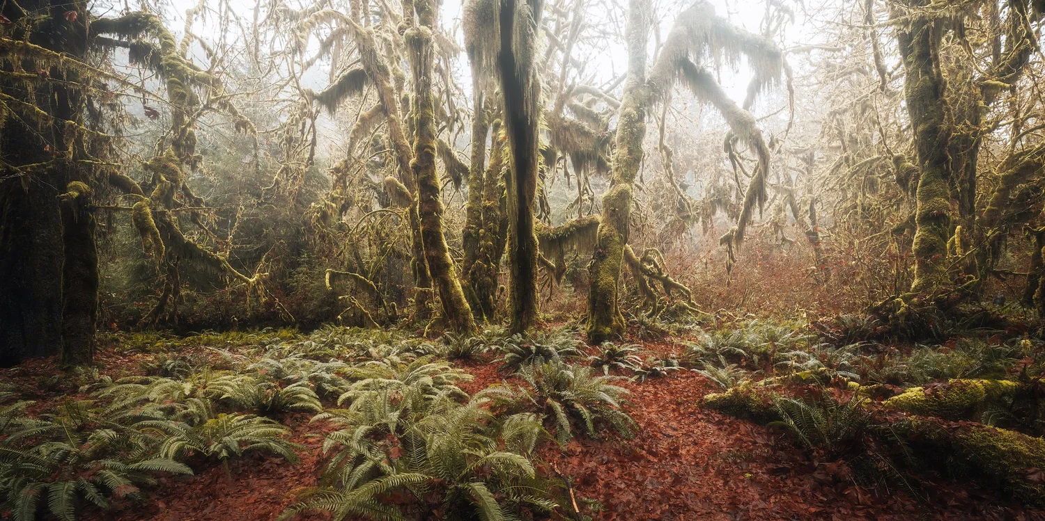 Recent work — Andy Mumford Photography