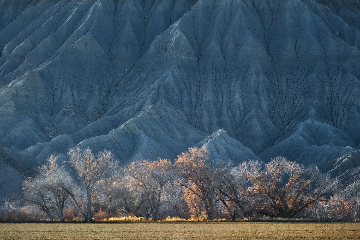 Recent work — Andy Mumford Photography