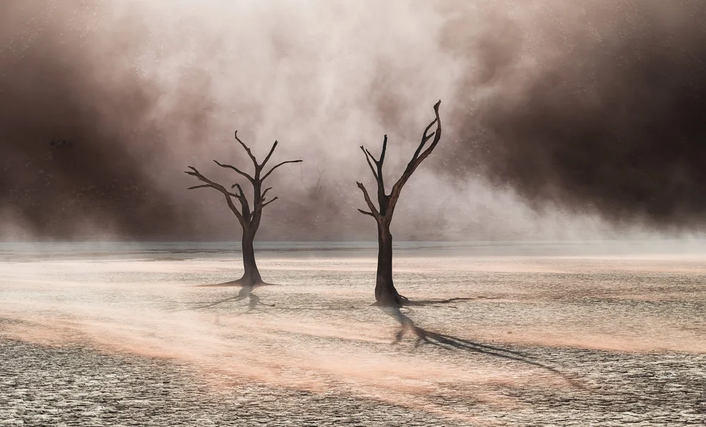 Recent work — Andy Mumford Photography