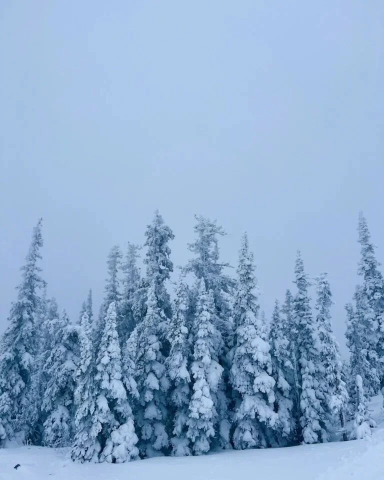 Murray Ridge Ski Area & Terrain Park