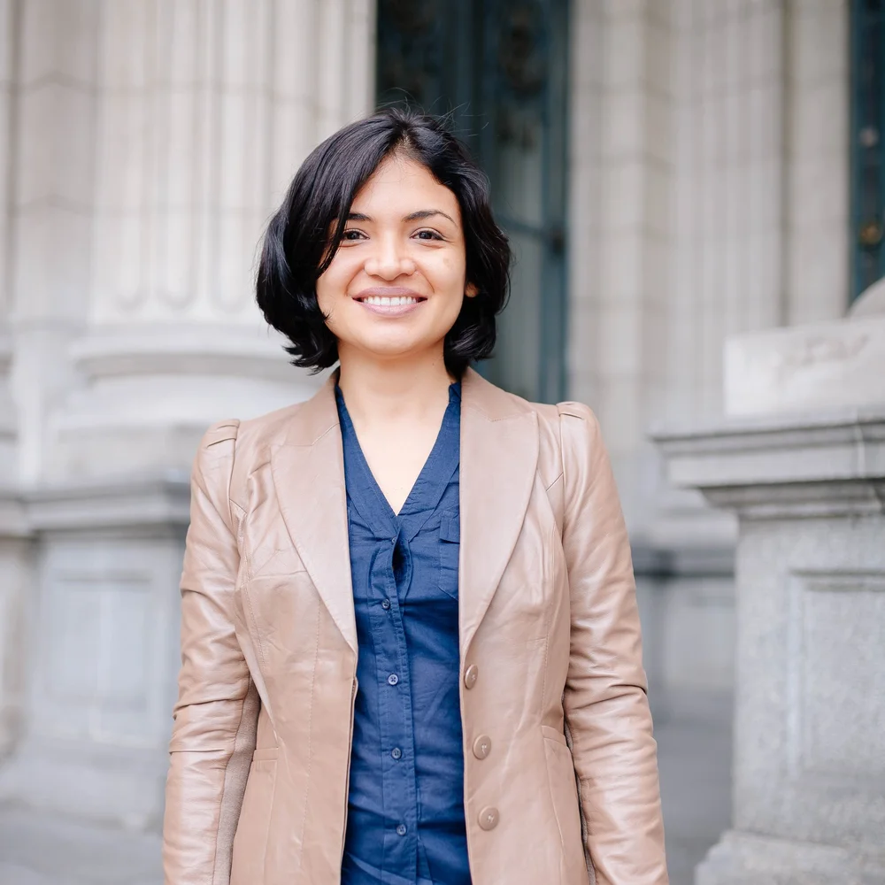 Fellowship Program — The Electoral Integrity Project EIP