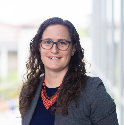 Fellowship Program — The Electoral Integrity Project EIP