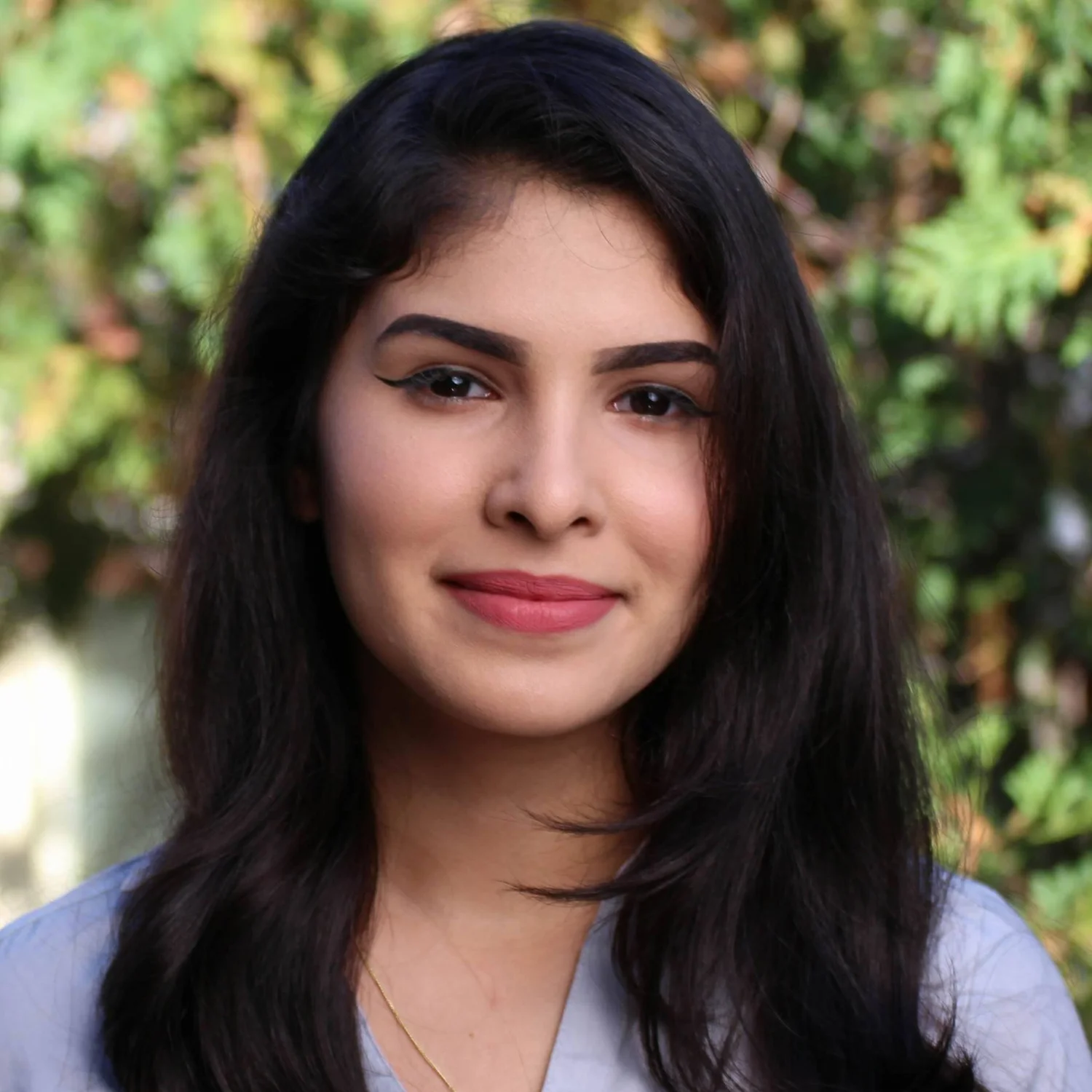 Fellowship Program — The Electoral Integrity Project EIP