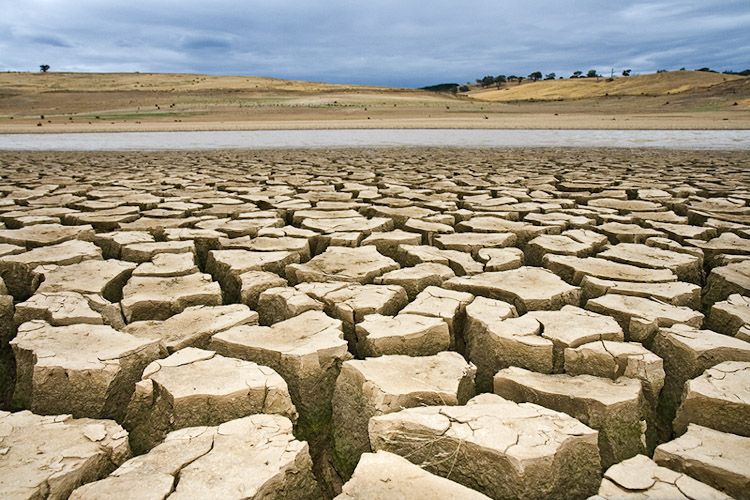 Beyond Reasonable Drought — MAPgroup