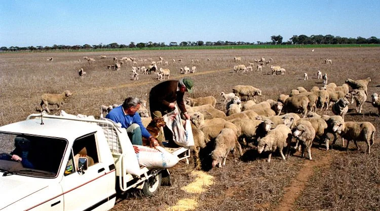 Beyond Reasonable Drought — MAPgroup