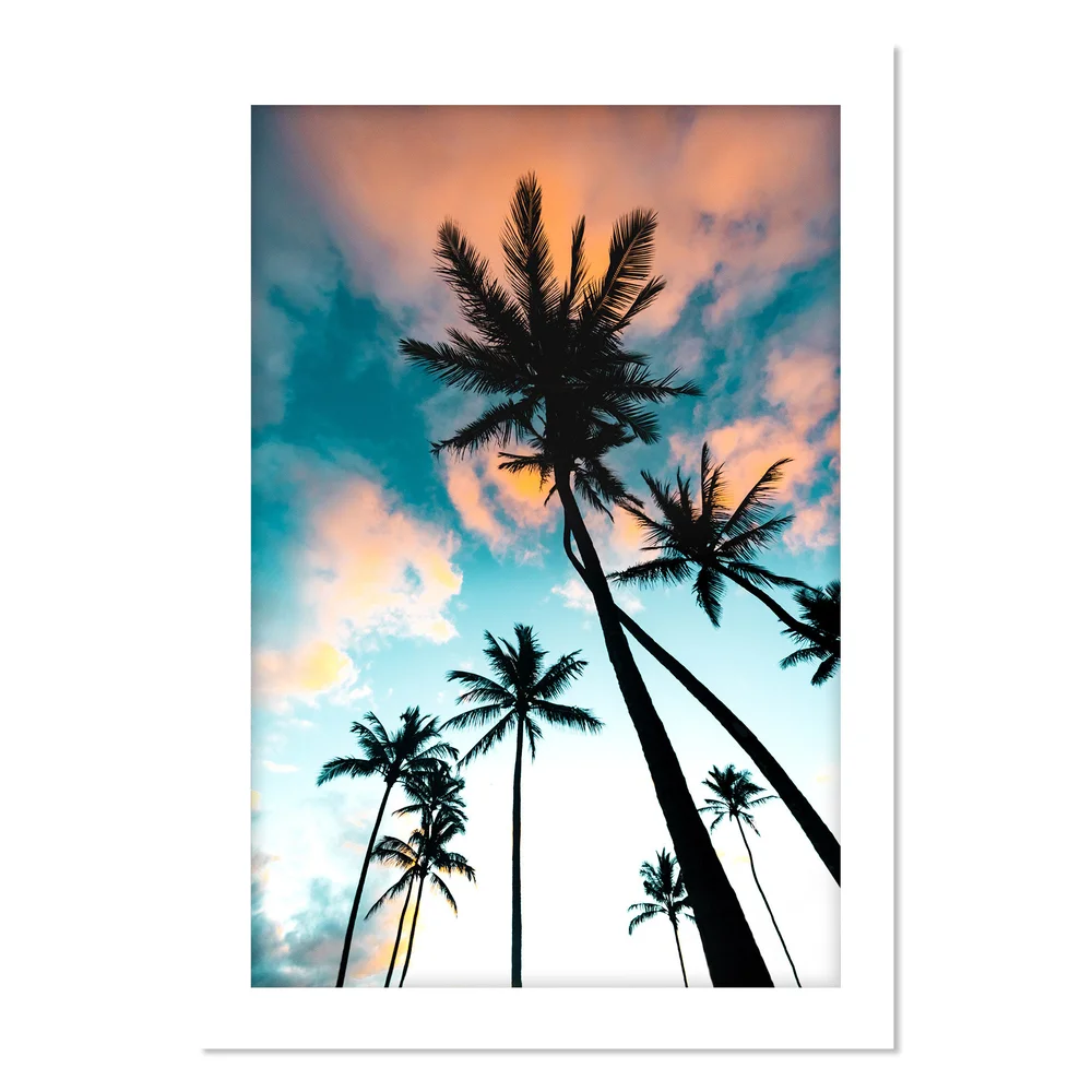 Palm Tree Print