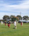 Fall Soccer — Elite Soccer League
