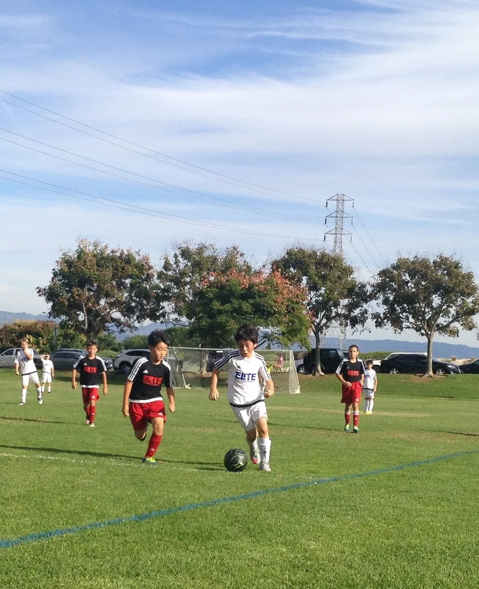 Fall Soccer — Elite Soccer League