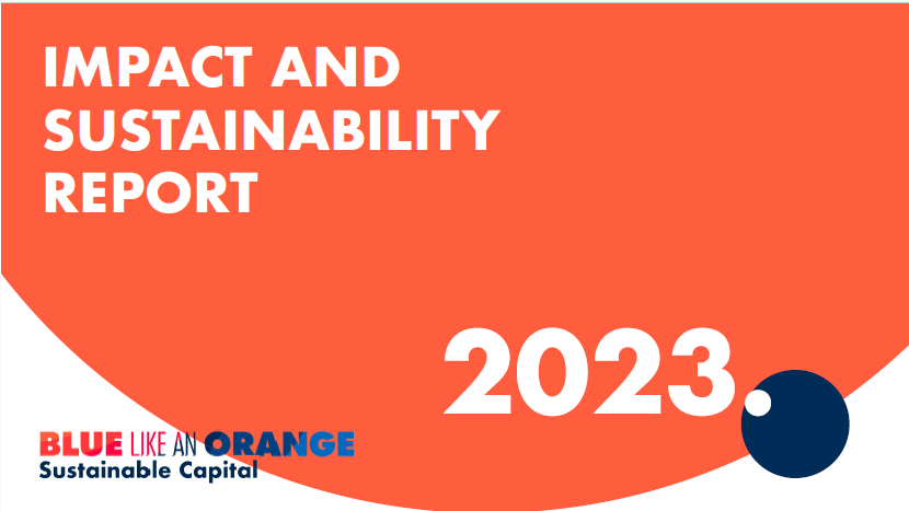 Impact & Sustainability reports – Blue Like An Orange