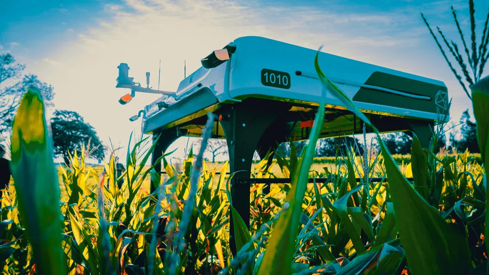 Solinftec – Blue Like An Orange