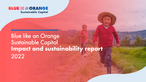 Impact & Sustainability reports – Blue Like An Orange