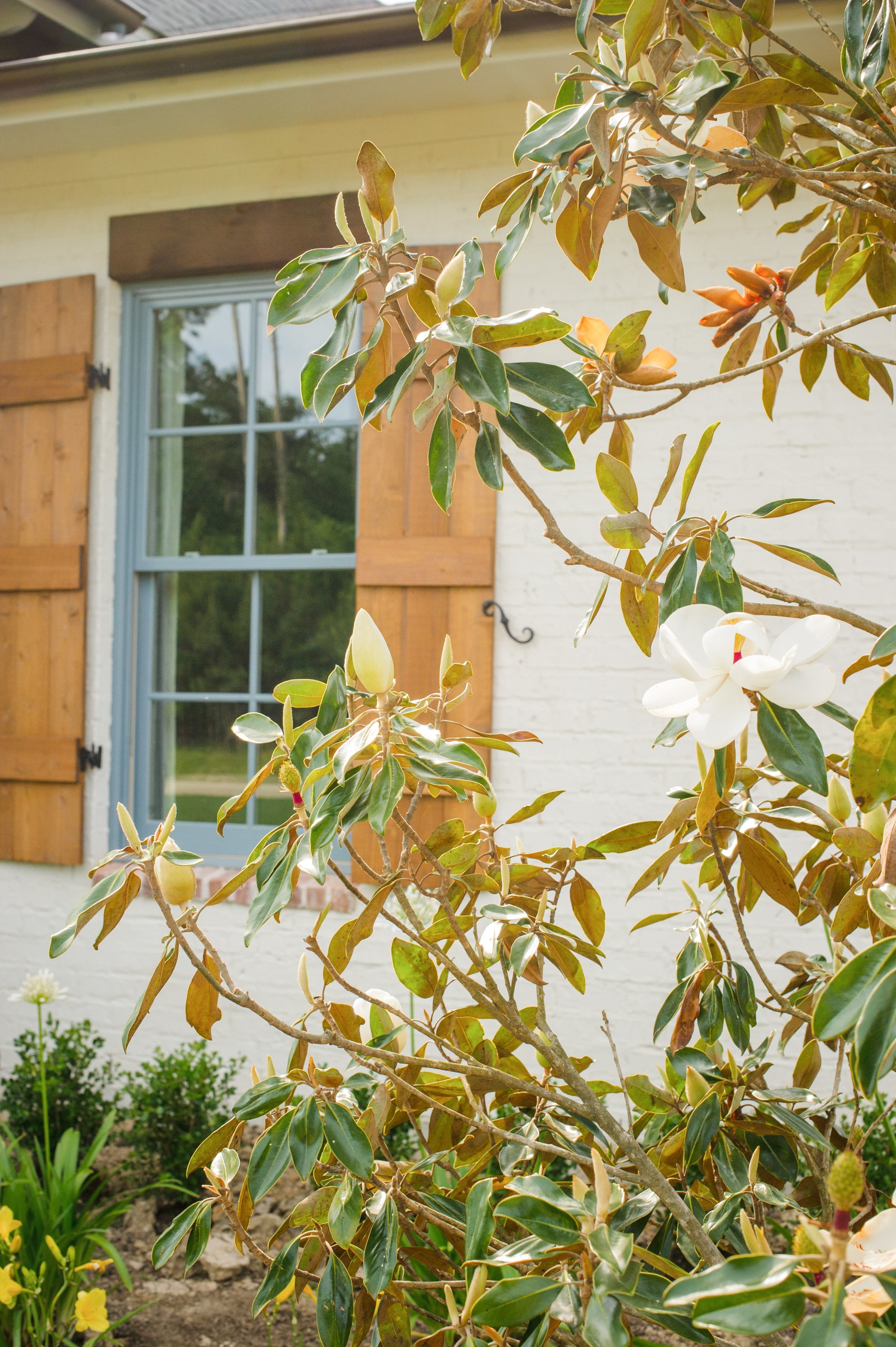 Project Reveal: French Acadian Exterior — Duckworth Interiors