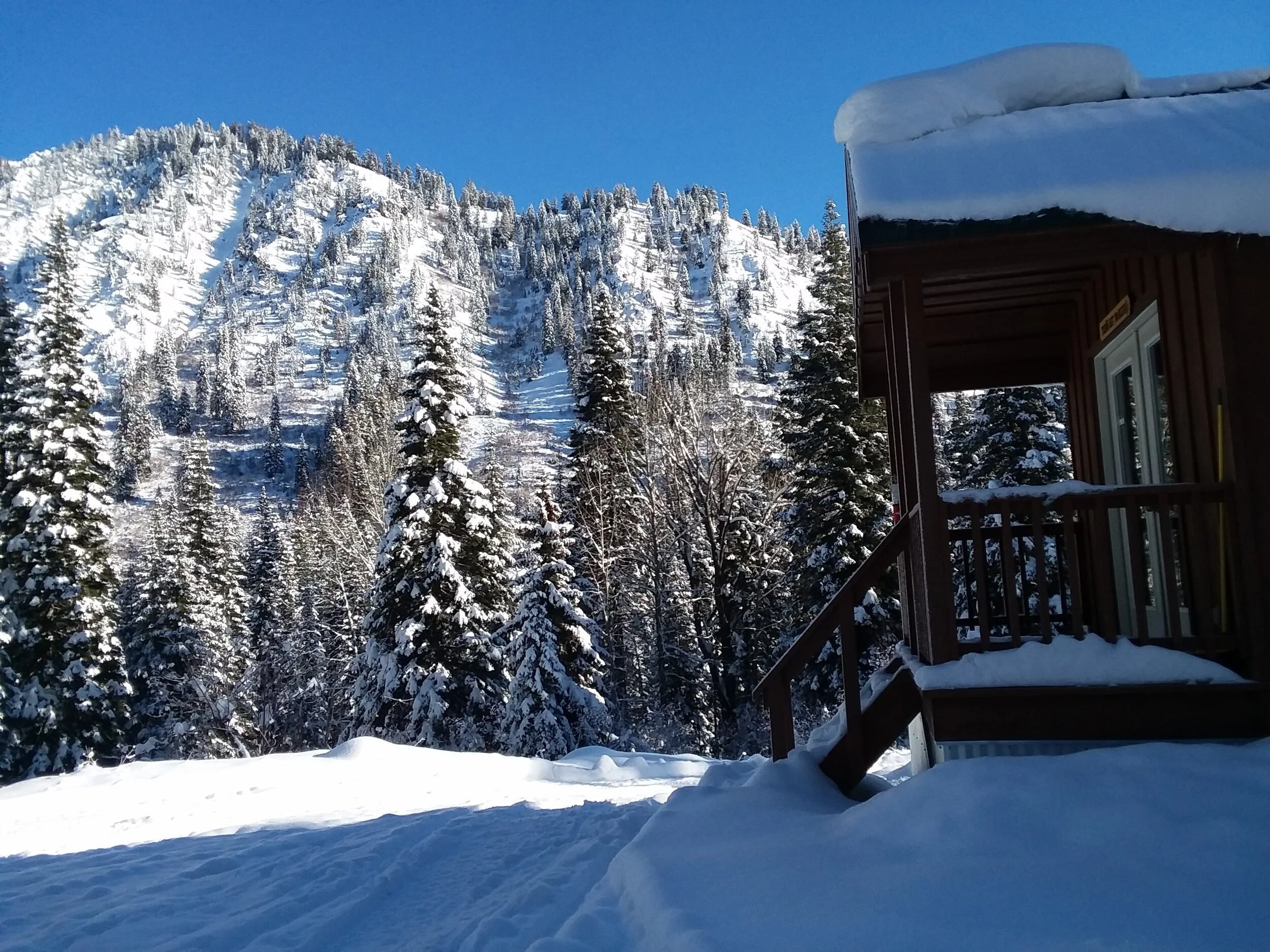 Cabins — Cornucopia Lodge & Packstation