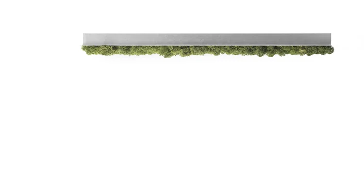 Nature from above with Ceiling — Scandinavian Spaces