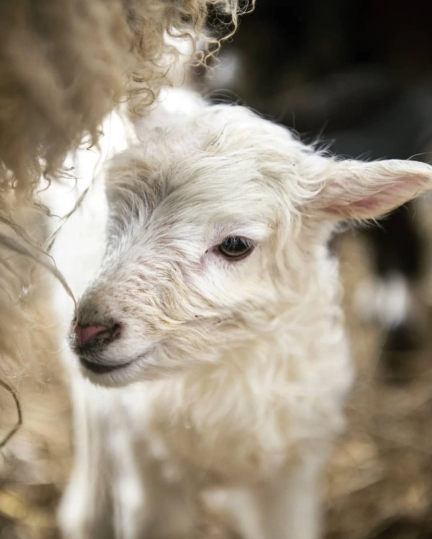 Inspiration — Scandinavian Spaces