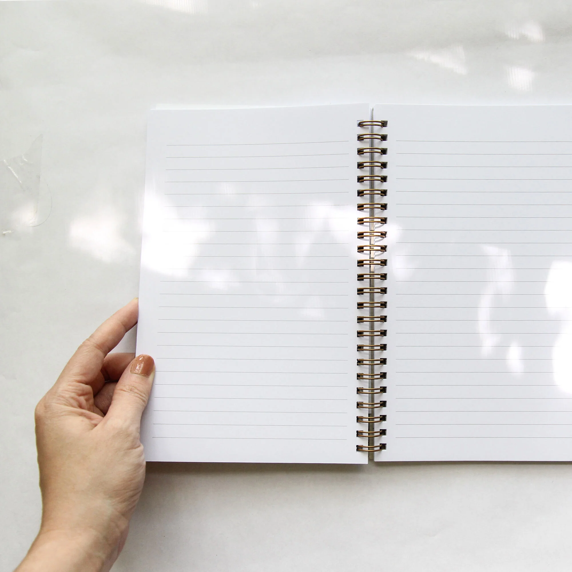Notebooks + Notepads — Root & Branch Paper Co.