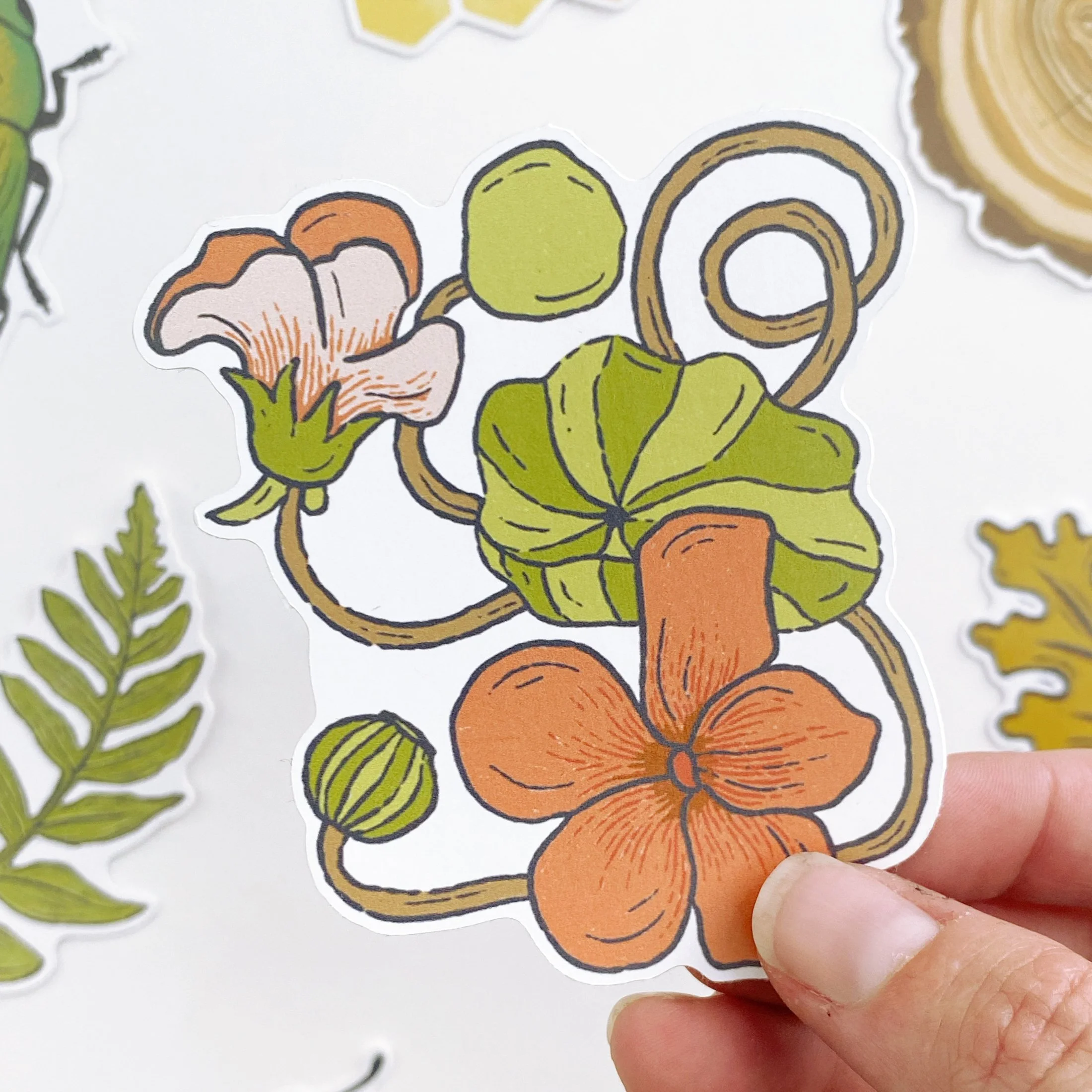 Stickers — Root & Branch Paper Co.
