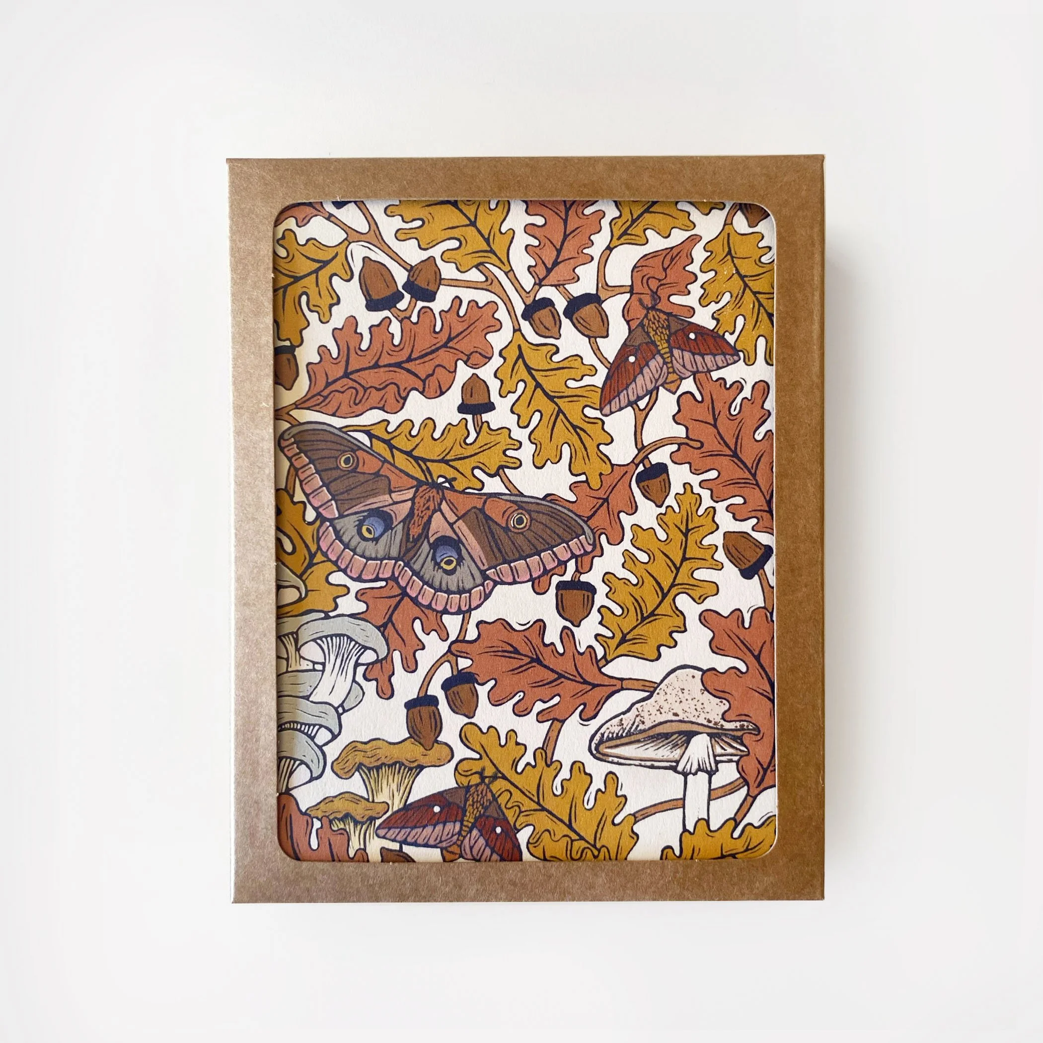 Beetle Boxed Card Set — Root & Branch Paper Co.