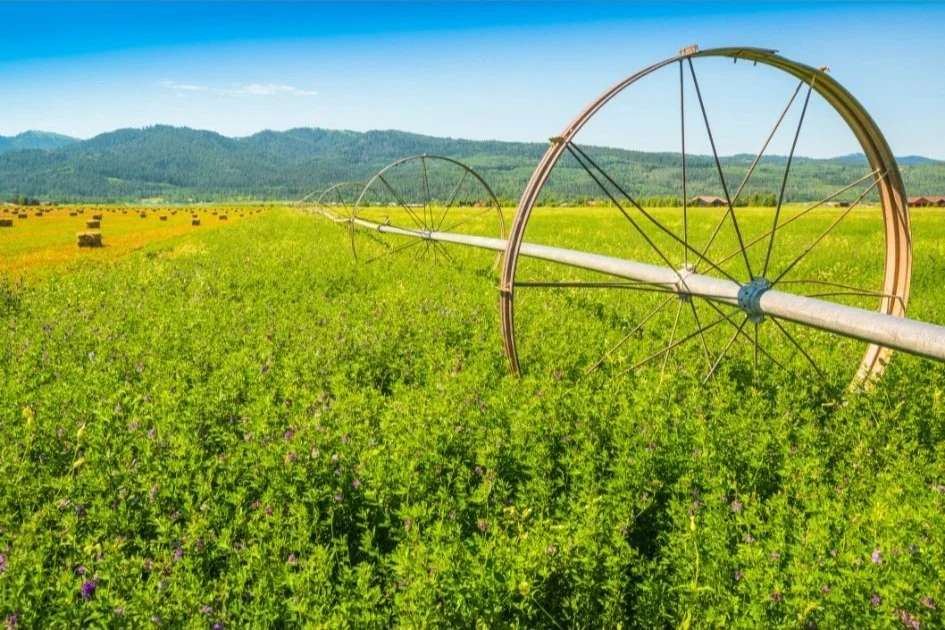Work With Us — Land Trust of the Treasure Valley