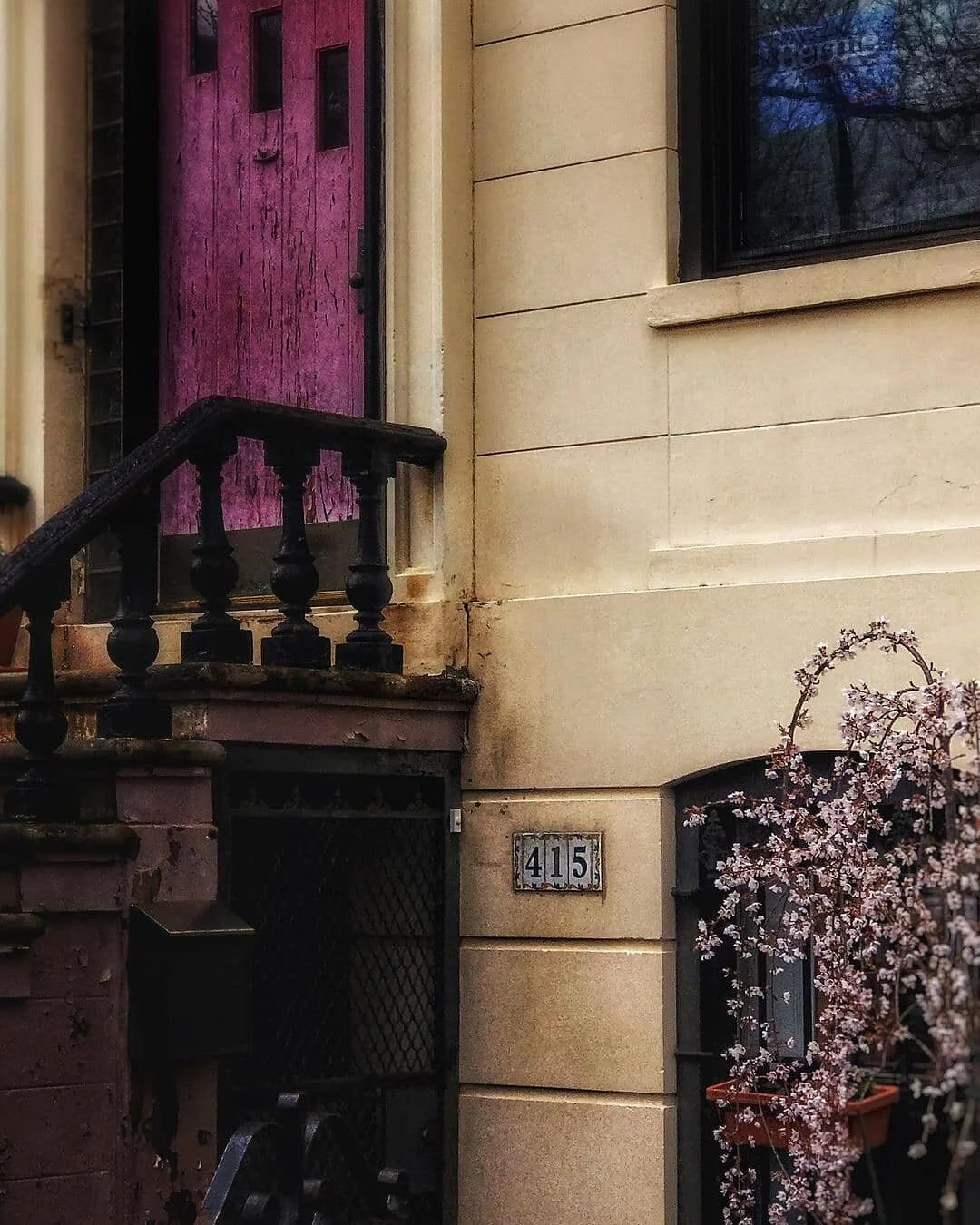 Juniper Street Photography