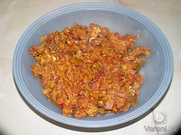 LECHO — House of Czech & Slovak Republics