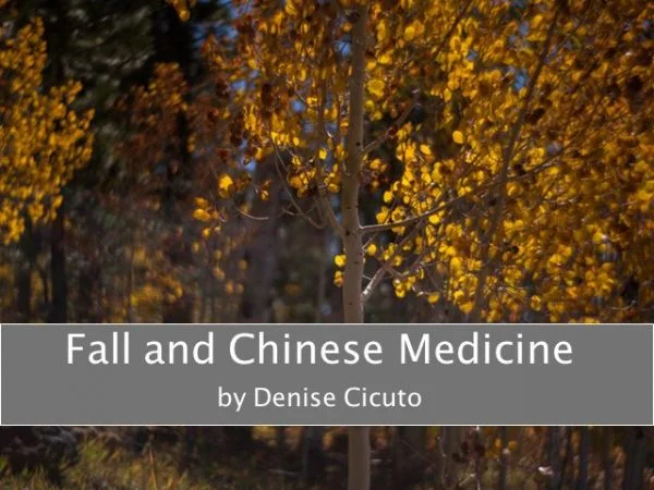 Fall and Chinese Medicine — Cicuto Acupuncture