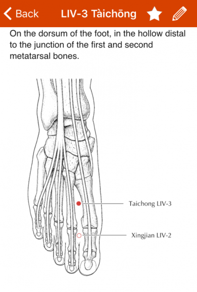 Spring and Chinese Medicine — Cicuto Acupuncture
