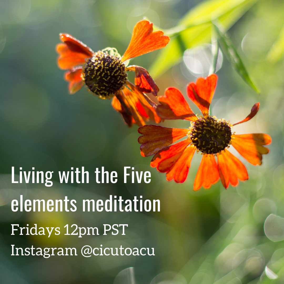 Blog — Cicuto Acupuncture