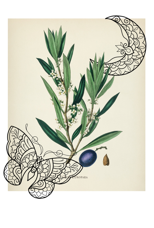 ART — DOMINIQUE HOLMES