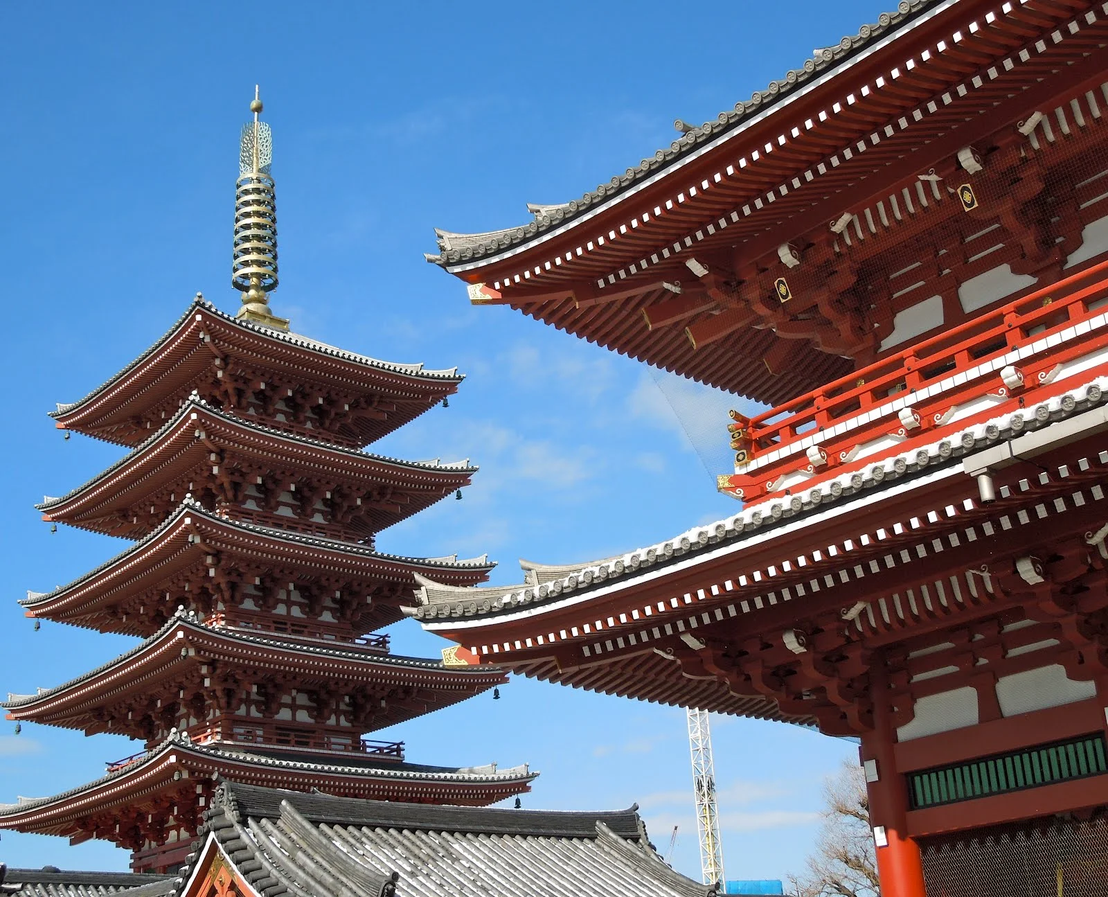 A Tokyo Itinerary: What to Do in Tokyo in 3 Days! — travelingmitch