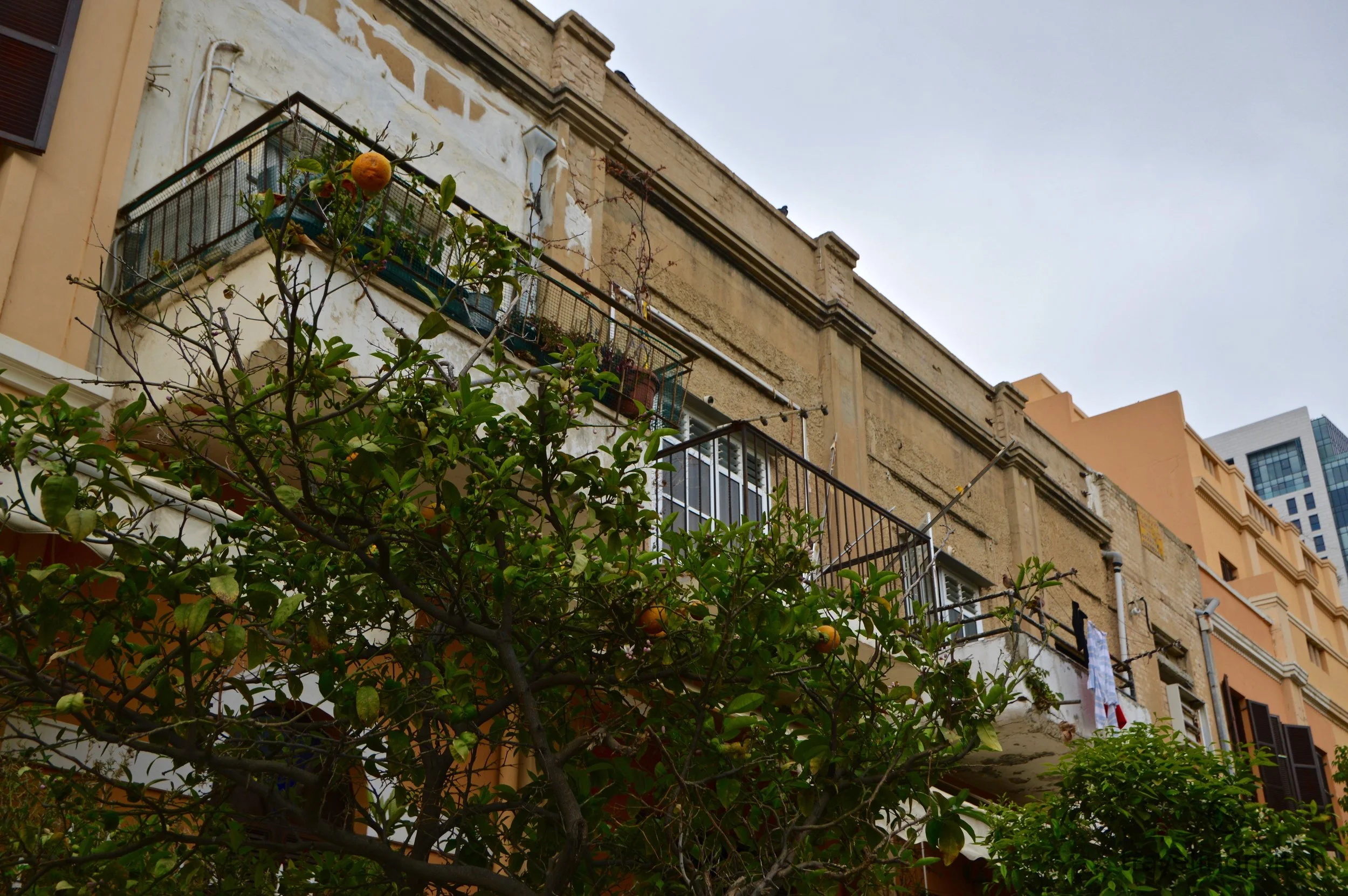 A Day in Tel Aviv Before TBEX International 2017 — travelingmitch