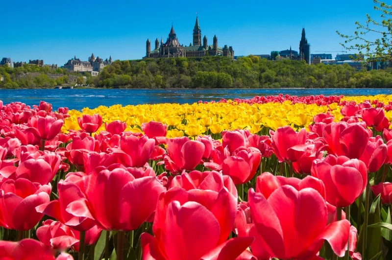How to Have the Ultimate Ottawa Weekend: An Ottawa Itinerary ...