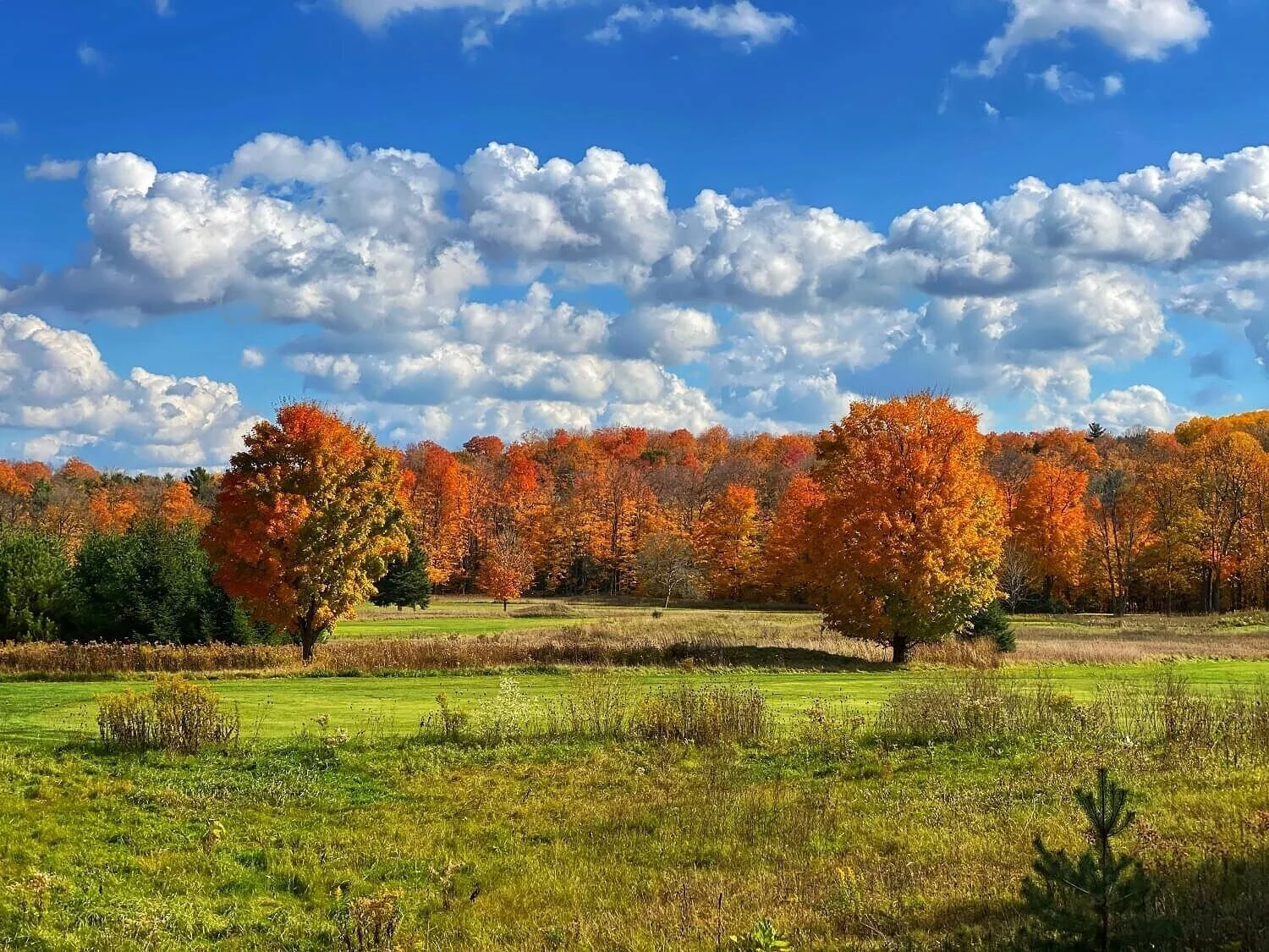 Mill Run Golf Club: Top-notch Golf in Durham Region! — travelingmitch