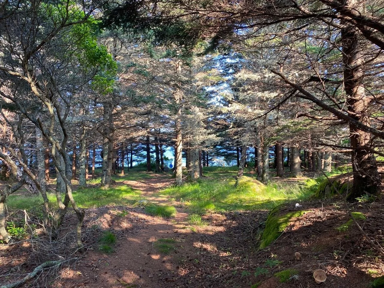 The Ultimate Maine Road Trip: A Week of Driving and Sailing on the ...